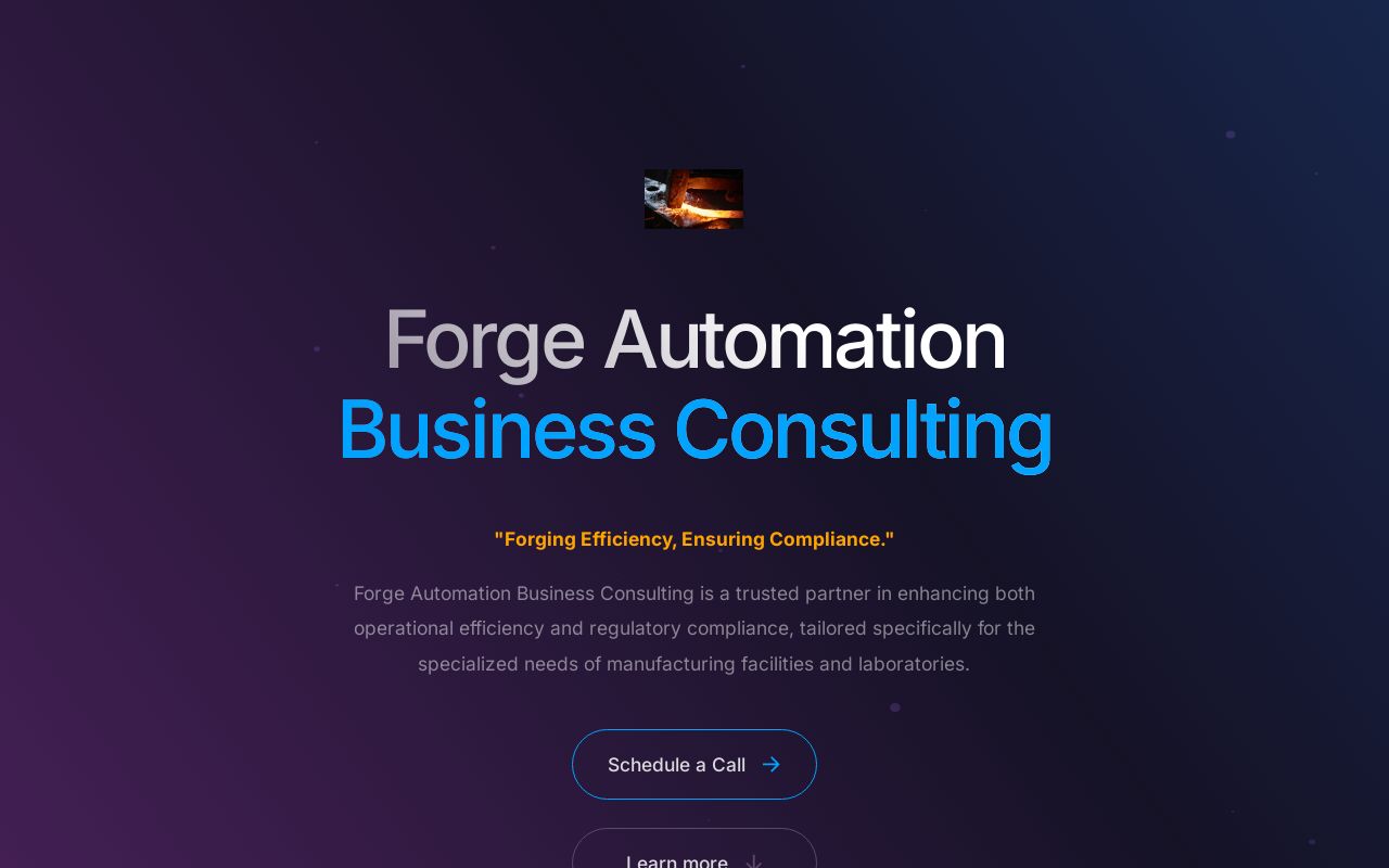 Forge Automation Business Consulting